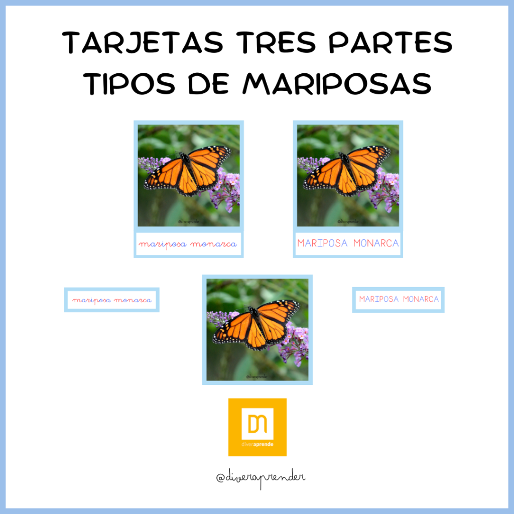 Tarjetas tres partes mariposas – Diveraprender