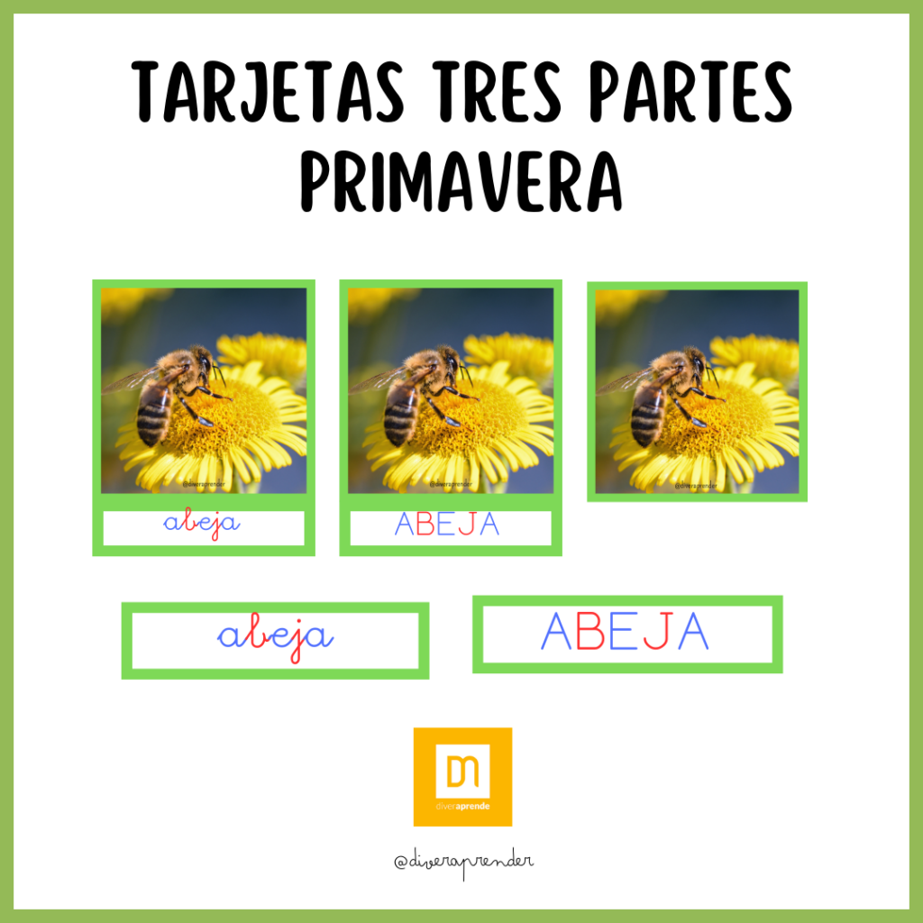 Tarjetas tres partes primavera – Diveraprender