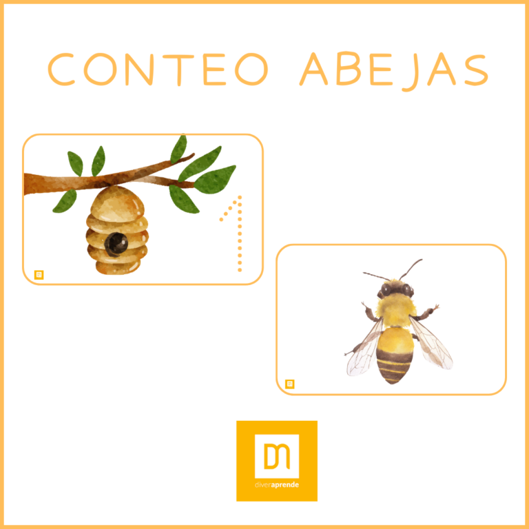 Conteo abejas y colmenas. – Diveraprender
